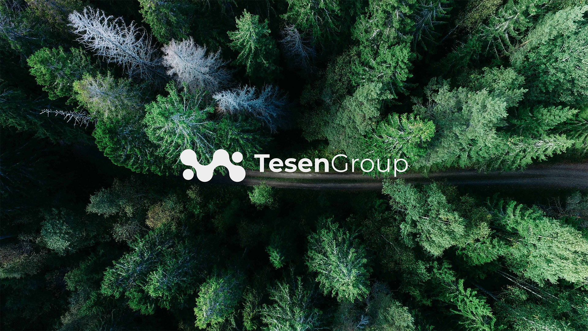 Home - Tesen Group